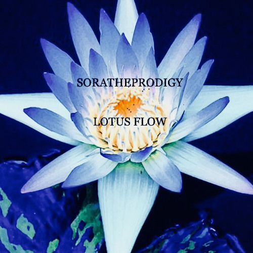 Stream LOTUS FLOW by SoraTheProdigy | Listen online for free on SoundCloud