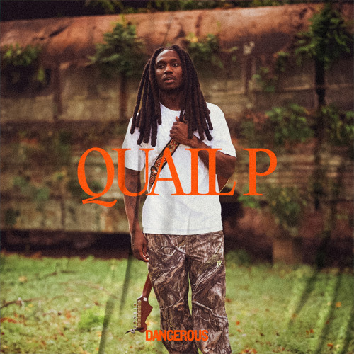 Stream Dangerous by Quail P | Listen online for free on SoundCloud