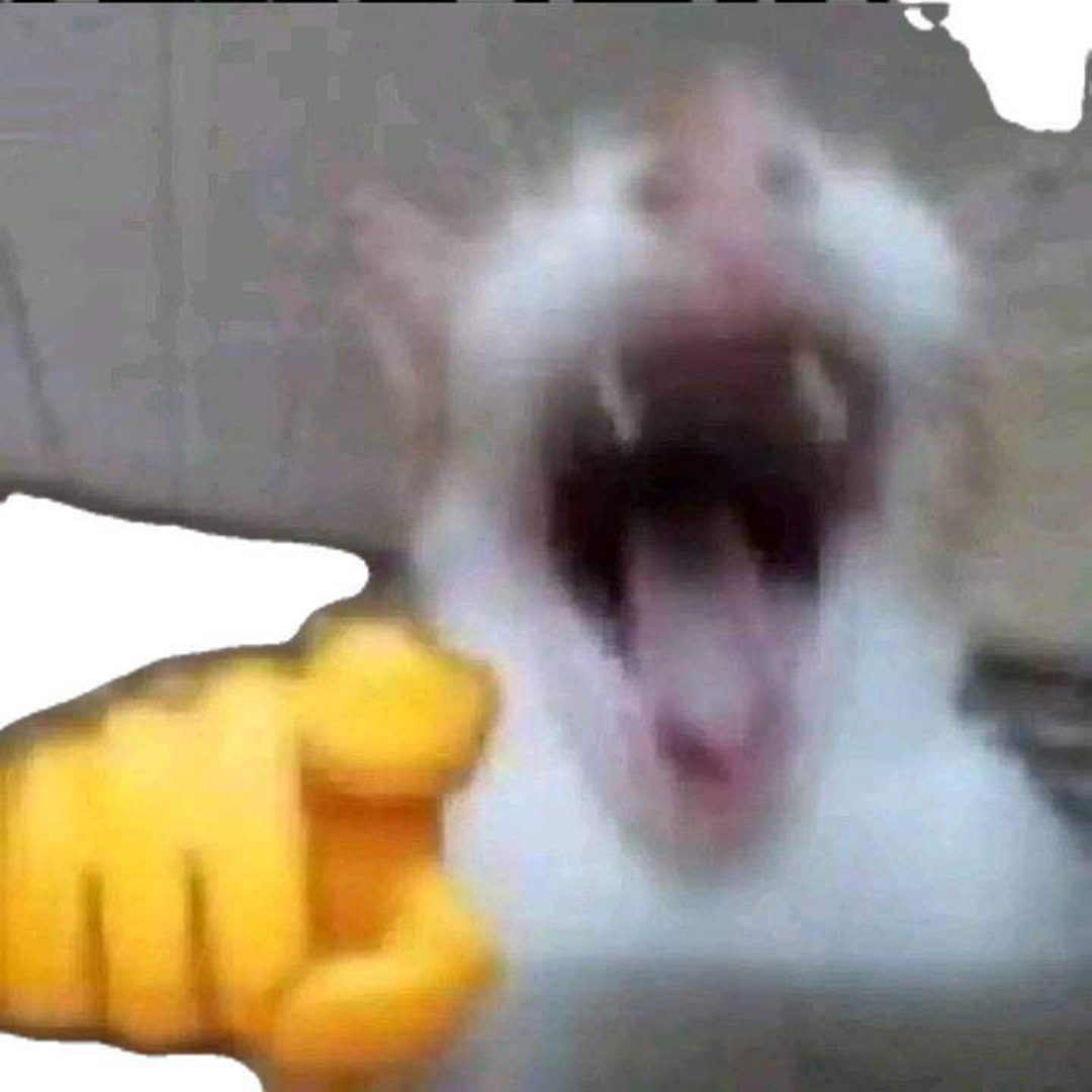 Stream cat laugh meme by ☆♱ 𝖒𝖎𝖘𝖘𝖉𝖊𝖆𝖙𝖍 ♱ִ ࣪𖤐 | Listen online for free on ...