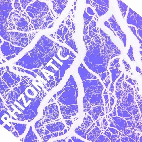 Stream Rhizomatic Podcast 006 by ::Alex Cid Presents::Rhizomatic ...