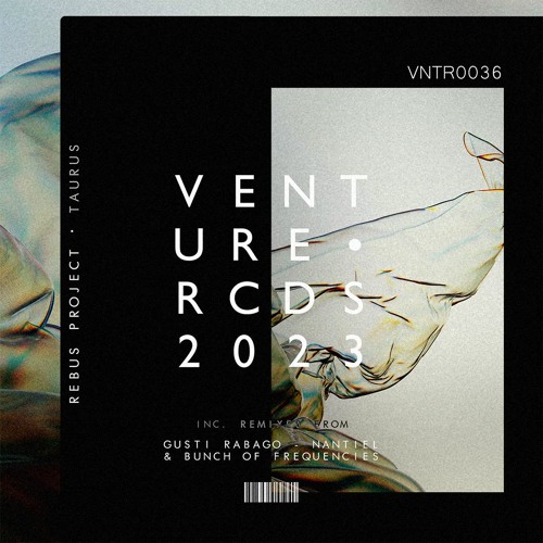 Stream Rebus Project - Taurus (Bunch of Frequencies Remix) [Venture Records] by Venture Records ...