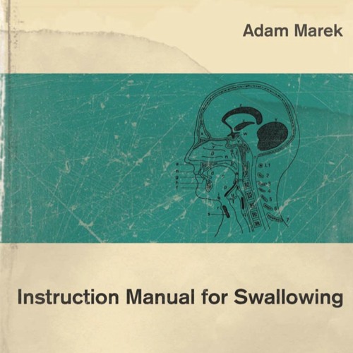 Stream episode Adam Marek reads 'The Forty Litre Monkey' by Comma Press ...