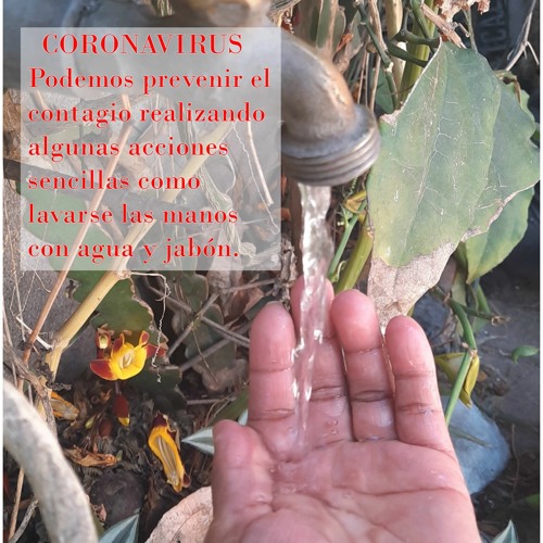 Stream CORONAVIRUS Idioma Awakateko, Academia de Lenguas Mayas de ...