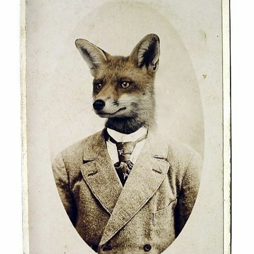 Stream IN THE 7TH YEAR IT FAILED by Mortimer the Fox | Listen online ...