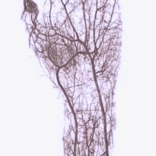 Stream Mandra s_*fty_mix by Подснежнік тëплый | Listen online for free ...