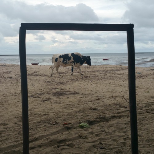 Stream Behind Dark Mirrors by Vincent Claus | Listen online for free on ...