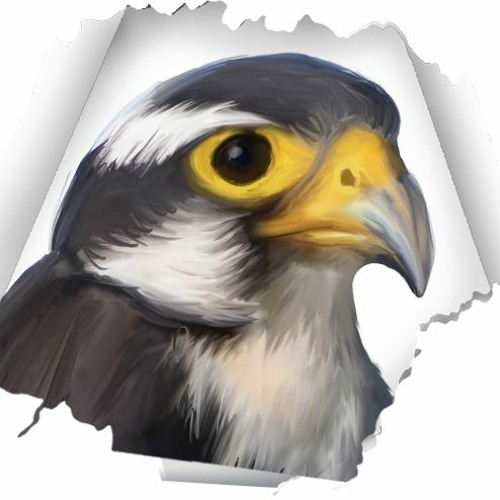 Stream Halcón perdiguero - Falco femoralis by Fundación Ambiental ...