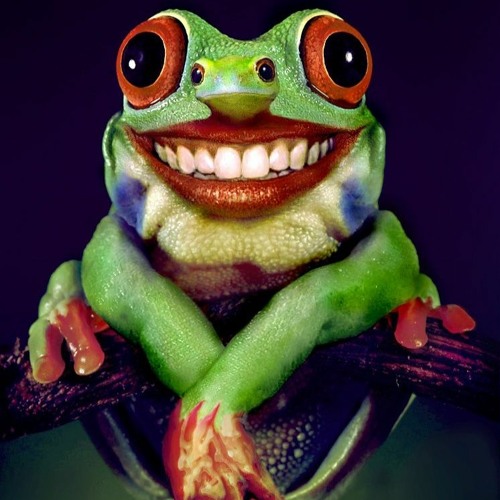 Stream Subviction - FROGGi (CLIP) by Subviction | Listen online for ...