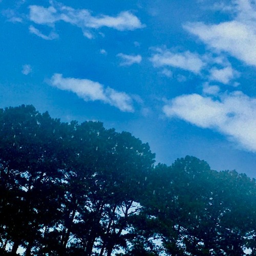 Stream Pain by ISO ZXY | Listen online for free on SoundCloud