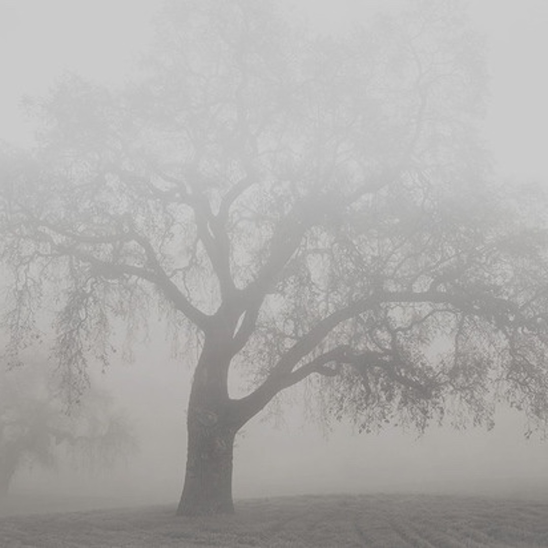 Stream blehk - strung out (sin) by december ☥ | Listen online for free ...