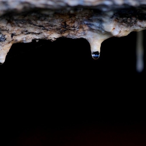 Stream Inside the Cavern - Composition by Zara Freeman | Listen online ...