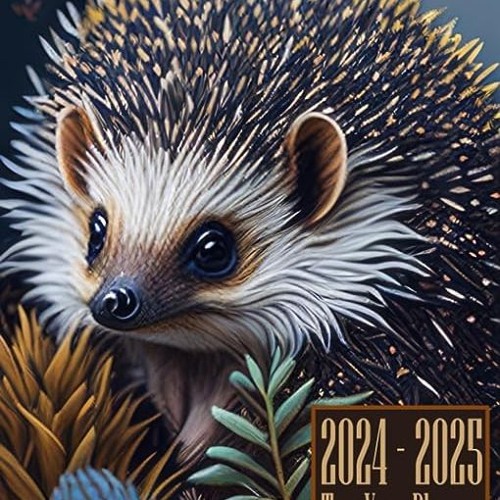 Stream ⚡️ DOWNLOAD PDF 2024-2025 Two Year Planner Free by Lorraine ...