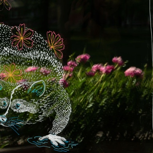 Stream Marney McDiarmid + Grace MacDonald, Flora & Fauna #2, 2020 by ...