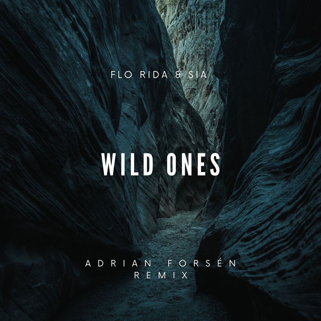 Stream Flo Rida & Sia - Wild ones (Adrian forsén Afrotech Remix) by ...