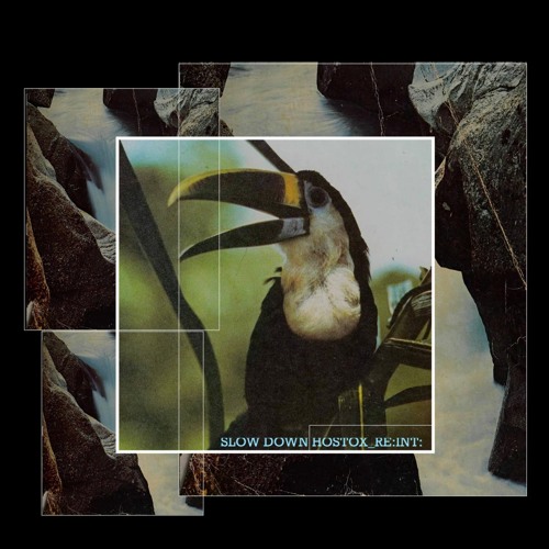 Stream PREMIERE: Slow Down (Hostox 4AM Reinterpretation) by Verzila | Listen online for free on ...