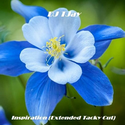 Stream DJ TJay - Mr. Tacky - Inspiration (Extended Tacky Cut) by DJ ...