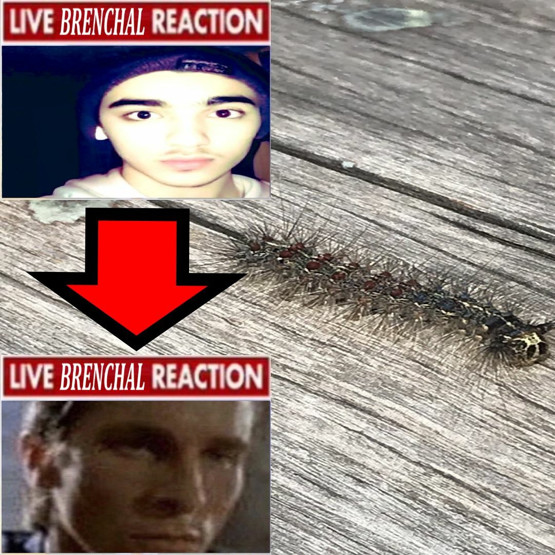 Stream Brenchal Douvart - I Found a Jipe! by jape daw 1 | Listen online ...