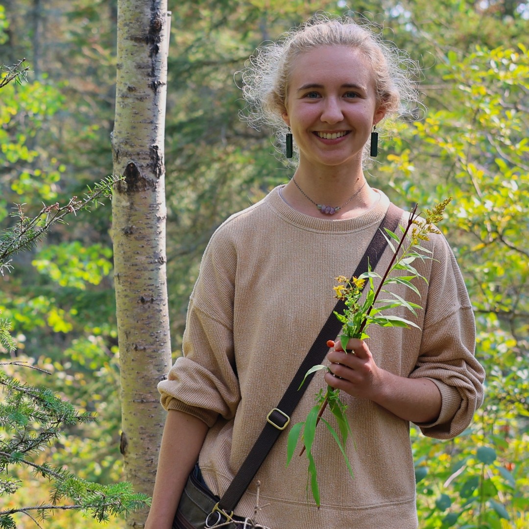 Stream Foraging Fall Medicinal Plants with Lily Wilson by WTIP ...