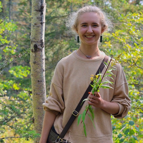 Stream Foraging Fall Medicinal Plants with Lily Wilson by WTIP ...