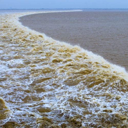 Stream Tidal Bore [20250107] by Dj Spark | Listen online for free on ...