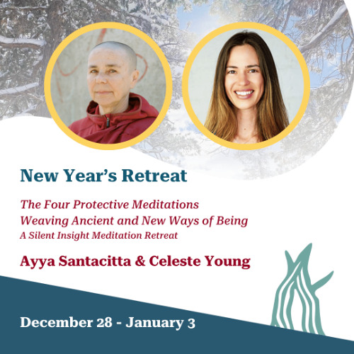 Stream 04 January 1, 2026 Impermance, Mortality & Other Enriching ...