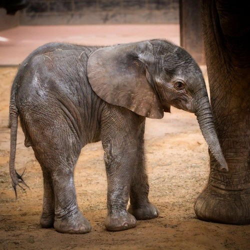 Stream Good News Tue Mar 5 2024 by BAS Sandusky Podcasts | Listen ...