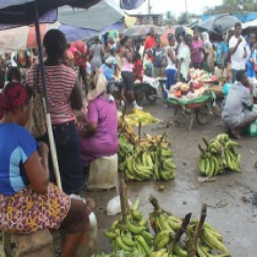 Stream Lack of Price Information Keeps Farmers Trapped in Cycles of ...