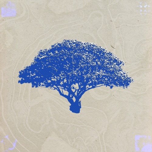 Stream Pattern Tusk | Listen to Diva - EP [Preview] playlist online for ...