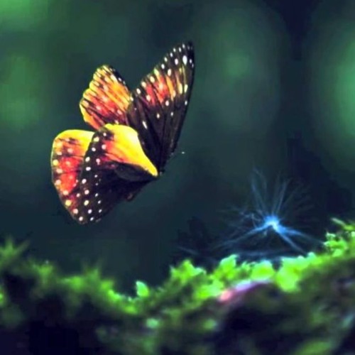 Stream Jeek | Listen to EP 2024 playlist online for free on SoundCloud