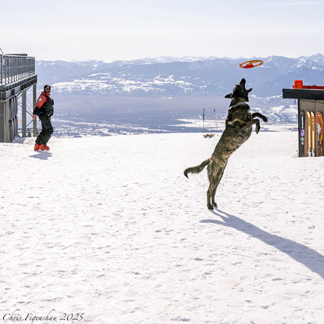 Stream Tuesday April 8th, 2025. by Jackson Hole Snow Report | Listen ...