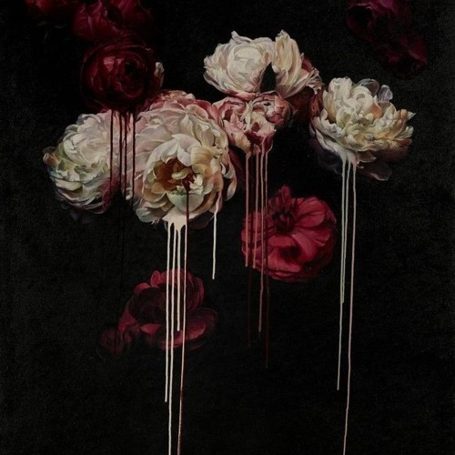 Stream You could always paint the Roses red 𑁍 // What an odd thing to ...