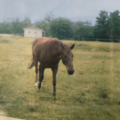 Stream Leave The Land Alone by Bill Bero | Listen online for free on ...