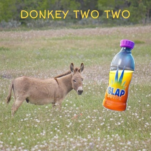 Stream Donkey Doo Doo 2 (donkey Two Two) by Jared and the Scooters ...