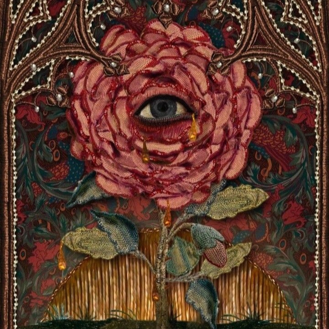 Stream Fish in a Birdcage - Rule #34 - slowed by Ashyyyy!! | Listen ...