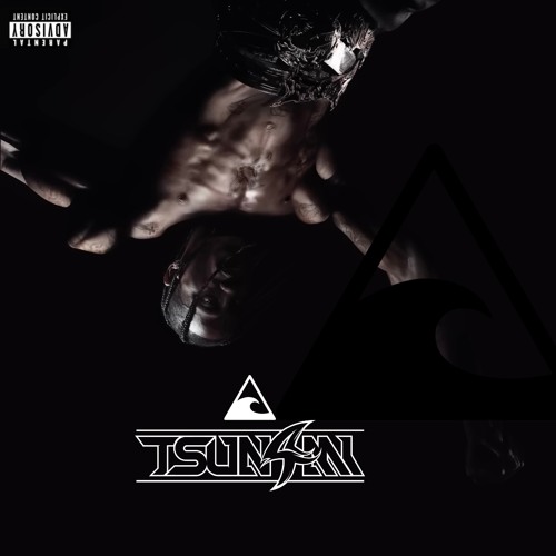 Stream Travis Scott, Playboi Carti - FE!N (TSUN4MI Remix) by TSUN4MI ...