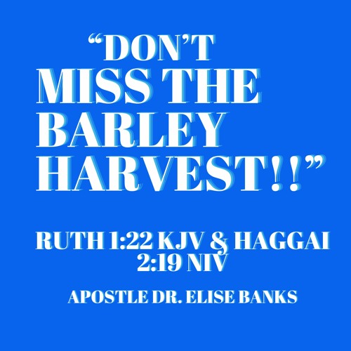 Stream Prayer Encounter Replay 9.27.23 by Dr Elise Banks | Listen ...