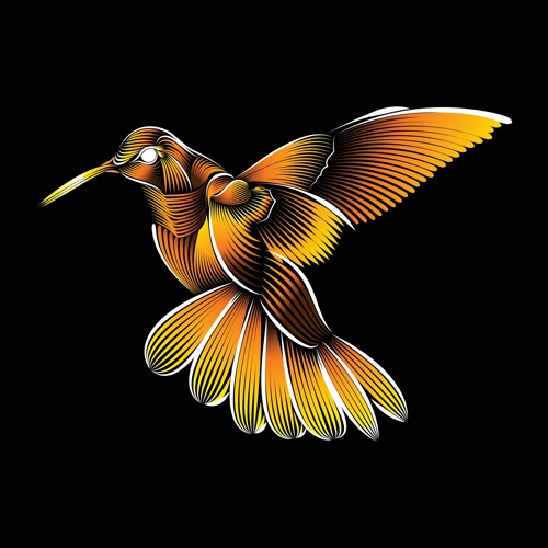 Stream Colibri 2022 by Bruno Jr Marte | Listen online for free on ... Stream Colibri 2022 by Bruno Jr Marte | Listen online for free on ...