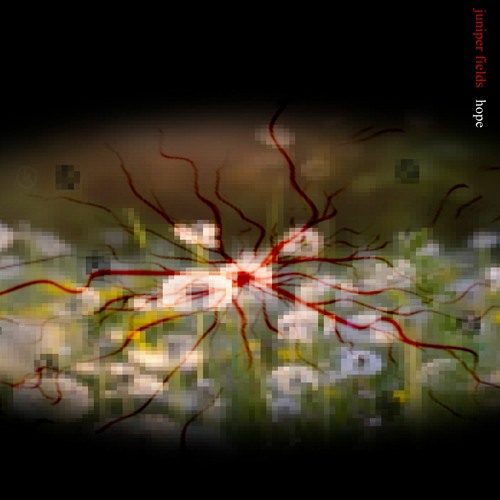 Stream Hope by Juniper Fields | Listen online for free on SoundCloud