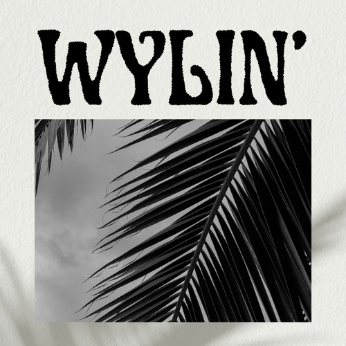 Stream WYLIN' (with Bubo) by yakewashere | Listen online for free on ...
