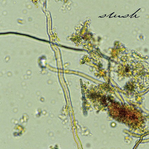 Stream slush recordings | Listen to SLUSH02 I ANDREW PILLON I SOFT ...