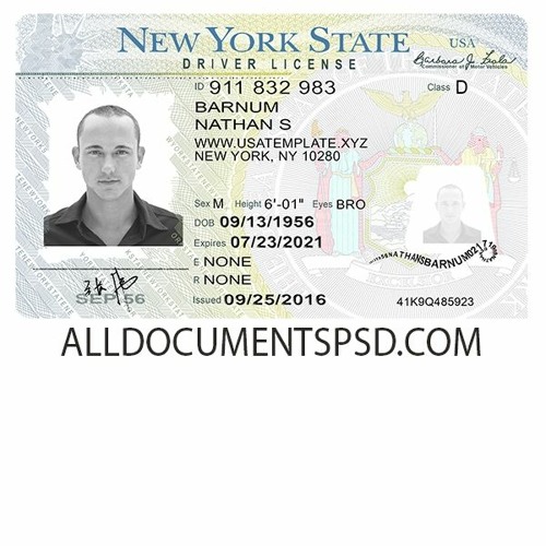 listen-to-playlists-featuring-download-new-york-state-drivers-license