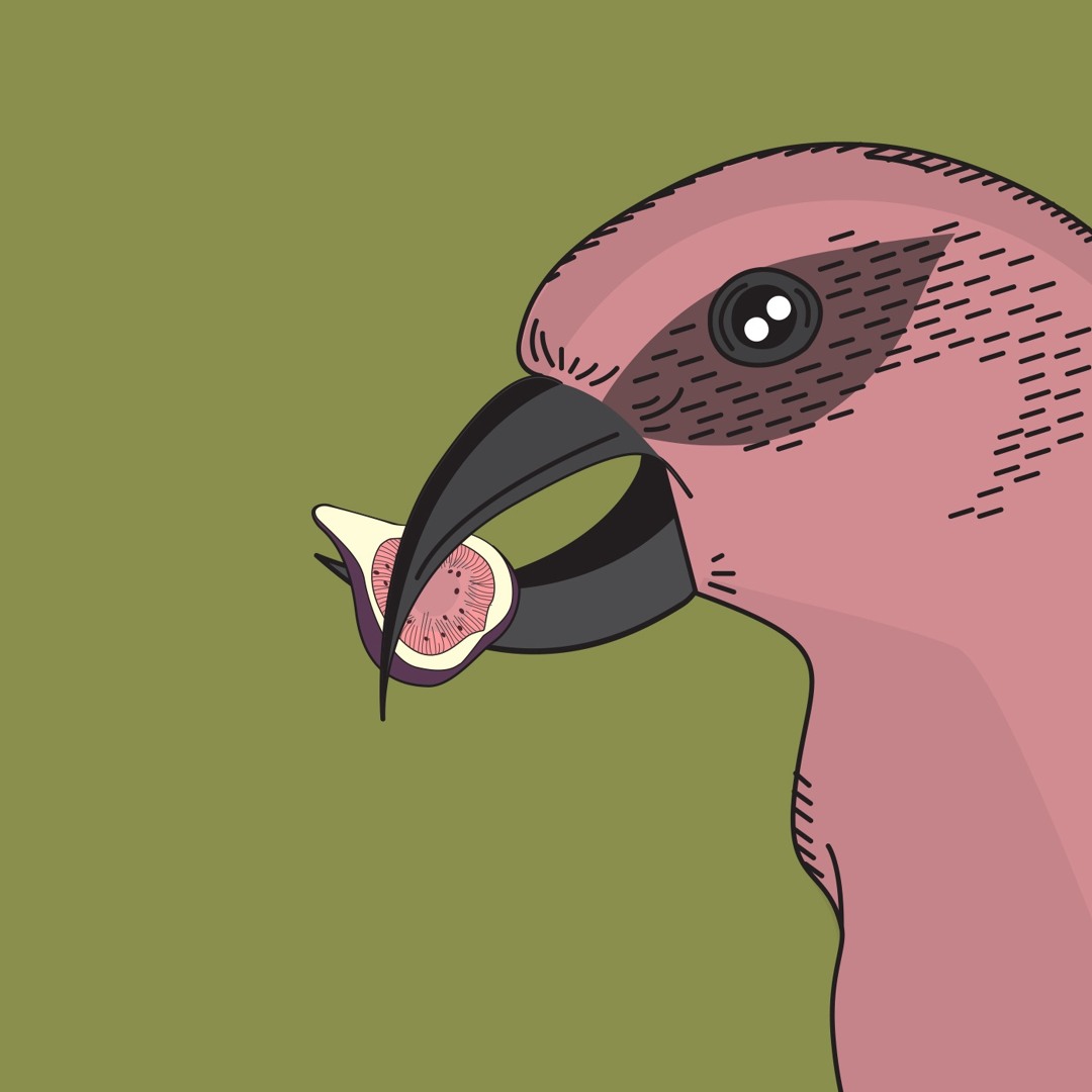 Stream Ana Simonovic by Balearic Banana | Listen online for free on ...