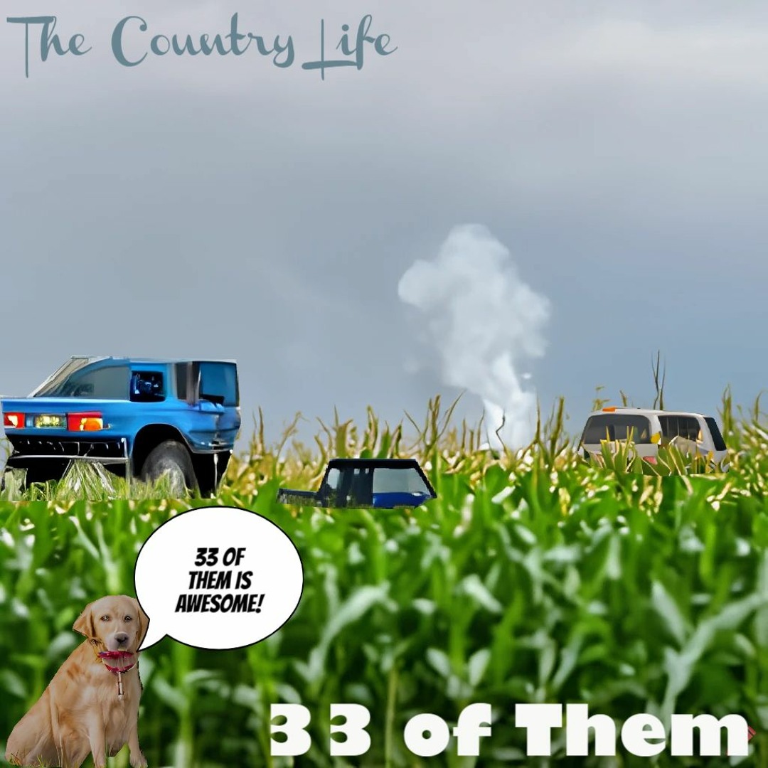 Stream The Country Life (prod. Jake Angel Beats) by 33 of Them | Listen ...