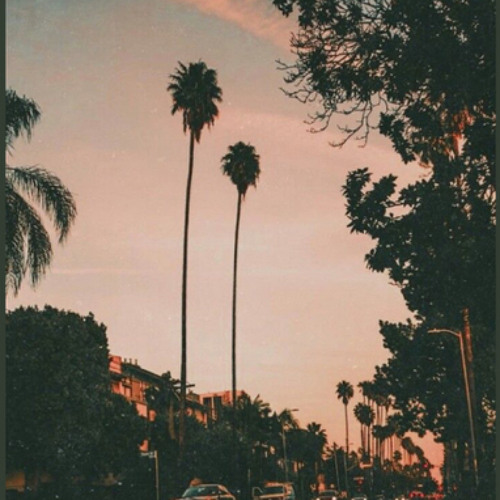 Stream DJ Noiz & Mikey Mayz - Still The One 🔥🤑 by 𝔇𝚠𝚊𝚢𝚗𝚎 𝔊 🥀 | Listen online for free on SoundCloud