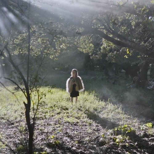 Stream Grow Wild by Tal Barr | Listen online for free on SoundCloud