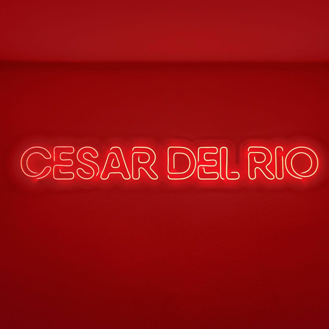 Stream Cesar Del Rio 2024 by Cesar del Rio | Listen online for free on ...