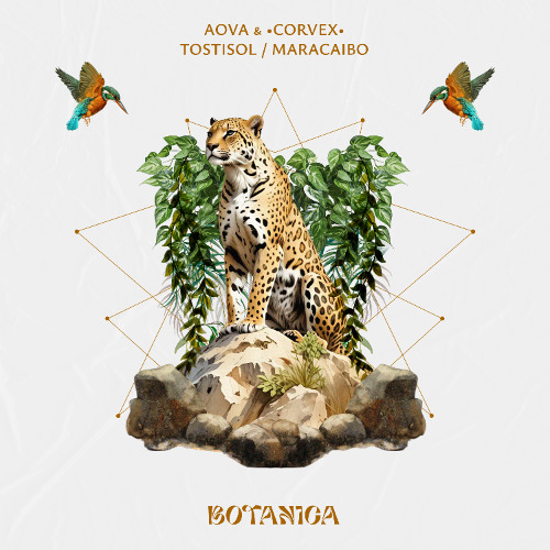 Stream LTR Premiere: AOVA, ·Corvex· - Tostisol (Original Mix) [Botanica ...