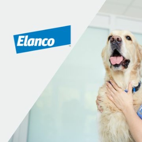 Stream Tanovea: A New Chemotherapy Option for Canine Lymphoma by ...