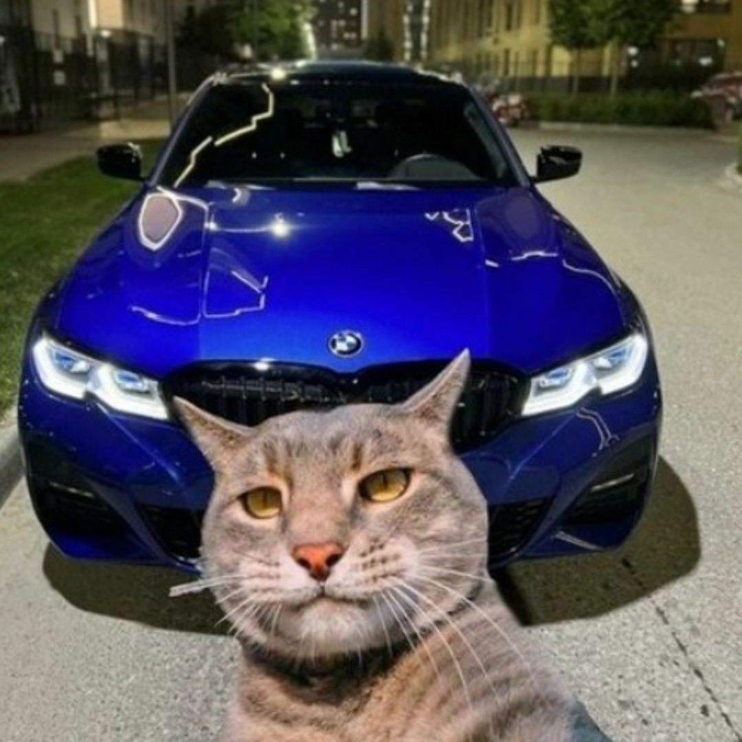 Stream DARK WORLD TANGING #philly #808 #808 #phillyclub #jerseyclub by ...