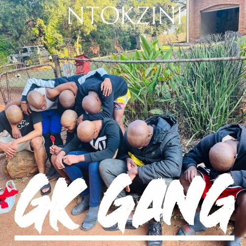Stream GK GANG [ft. MentalApe, Hiñs 3motiøn by Ntokzini | Listen online ...